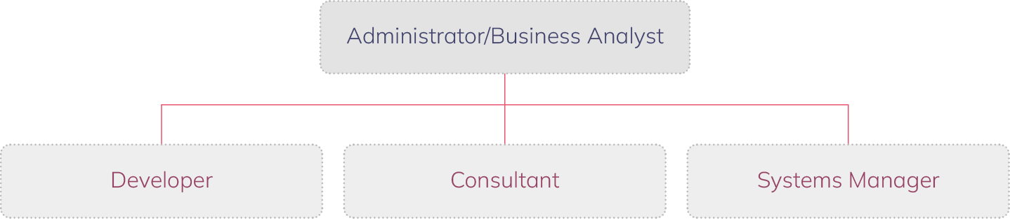 NetSuite Administrator / Business Analyst Career Spotlight | Anderson ...