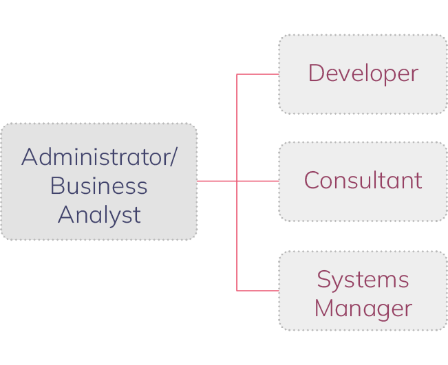NetSuite Administrator / Business Analyst Career Spotlight | Anderson ...