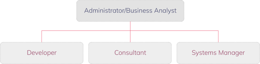 NetSuite Administrator / Business Analyst Career Spotlight | Anderson ...