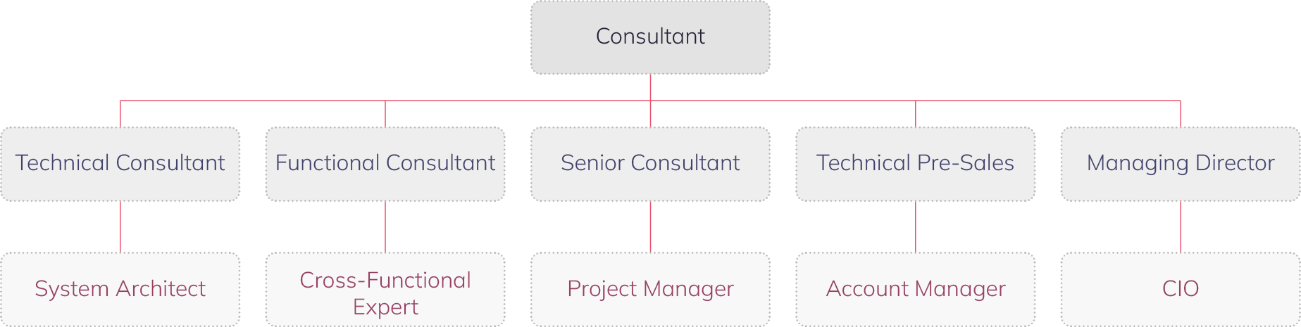 NetSuite Consultant Career Spotlight | Anderson Frank Careers and ...