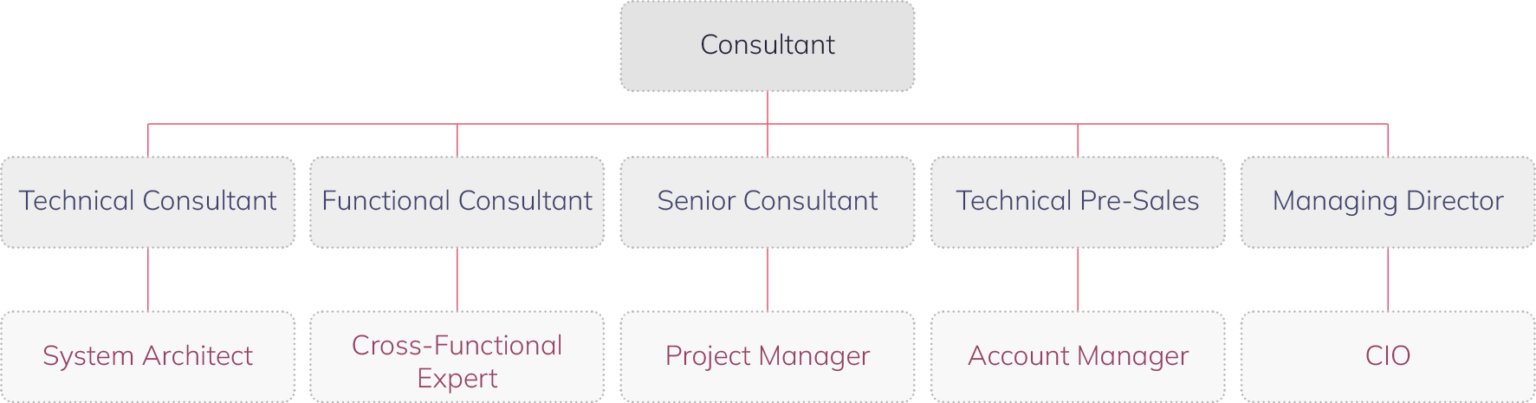 NetSuite Consultant Career Spotlight | Anderson Frank Careers and ...