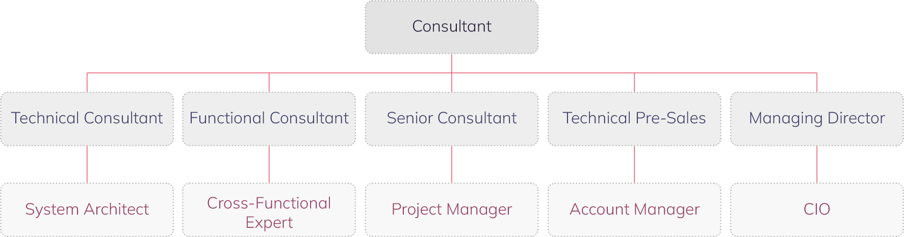 NetSuite Consultant Career Spotlight | Anderson Frank Careers and ...