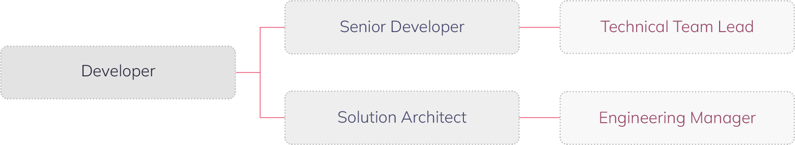NetSuite Developer Career Spotlight | Anderson Frank Careers and Hiring ...