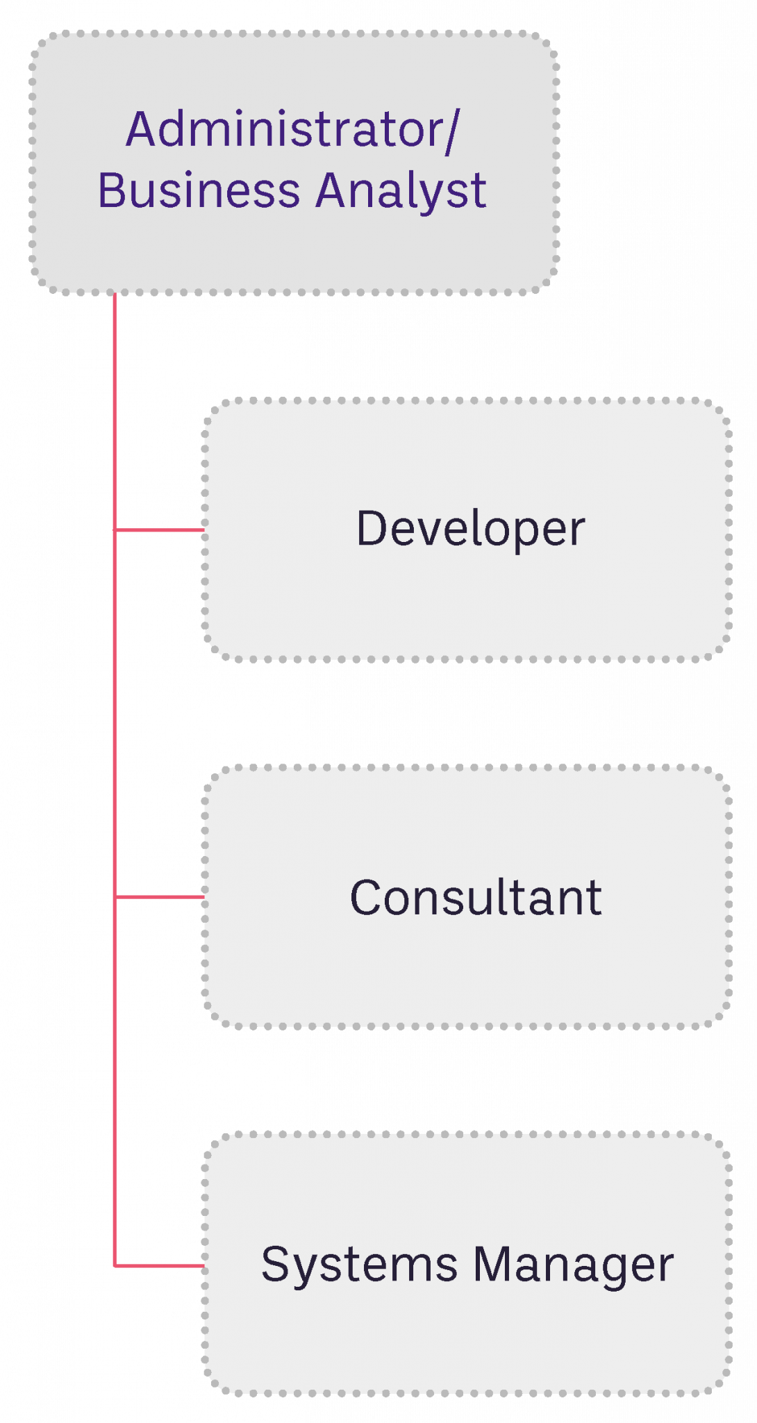 NetSuite Administrator / Business Analyst Career Spotlight | Anderson ...